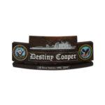 USN Harpers Ferry Class LSD 49 Desk Nameplate – American Plaque Company ...